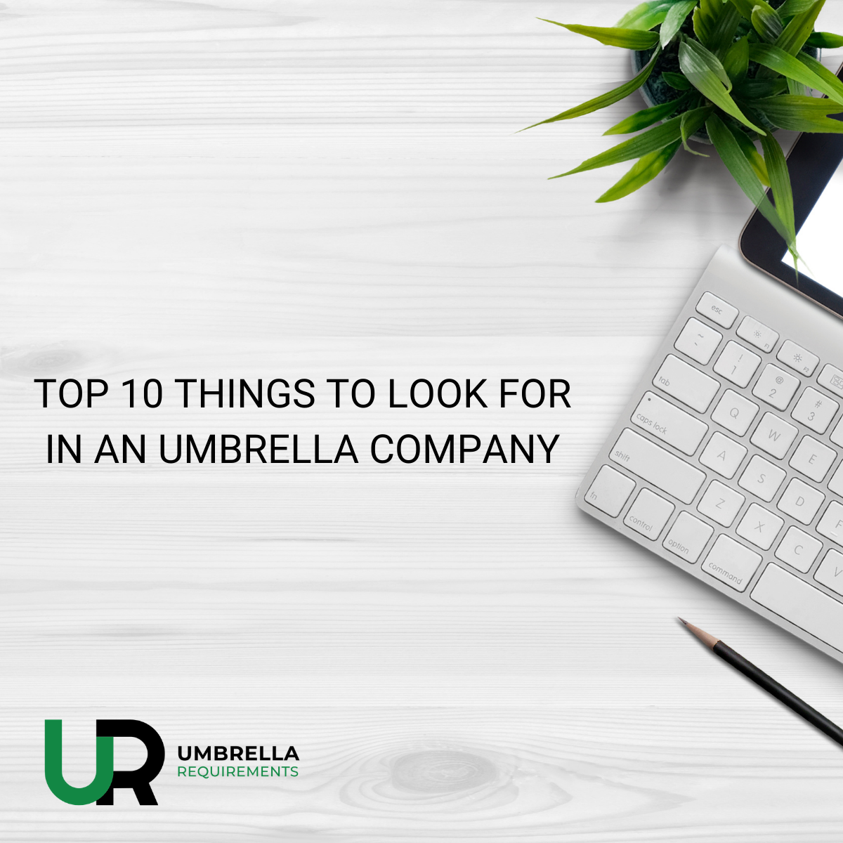 Choosing an Umbrella Company: Top 10 Tips - Umbrella Requirements